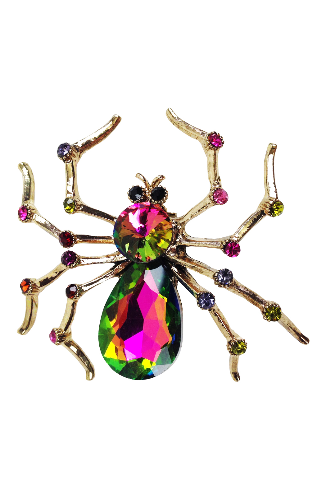 Large Spider Brooch - Go Home, Gabriela's...