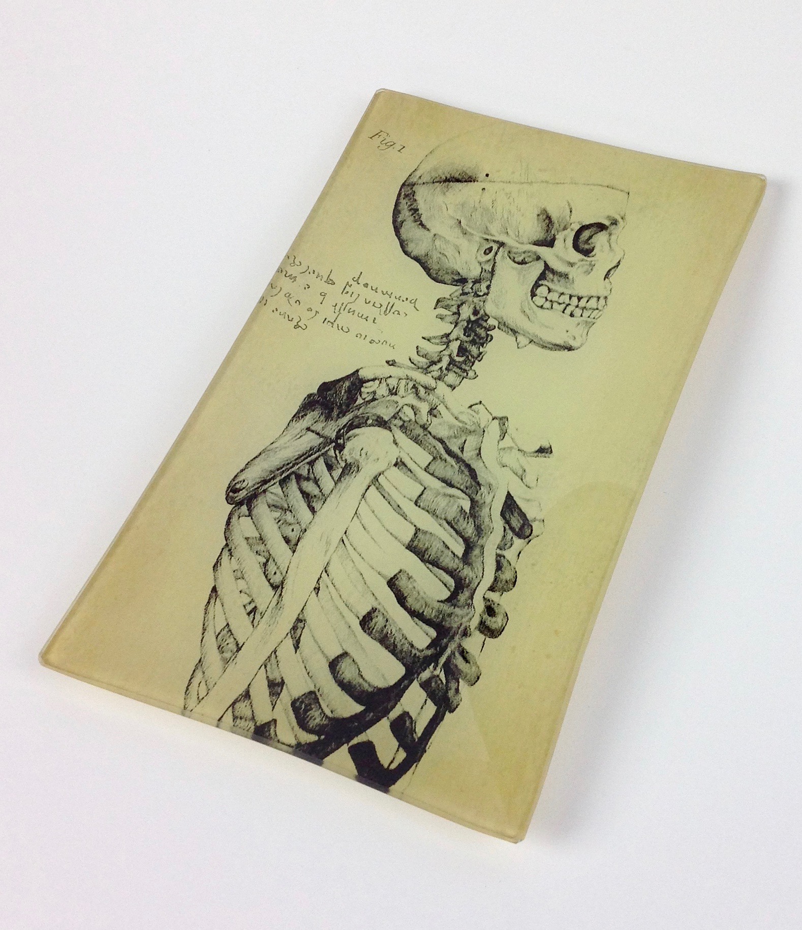 Glass Skeleton Plate - Go Home, Gabriela's...