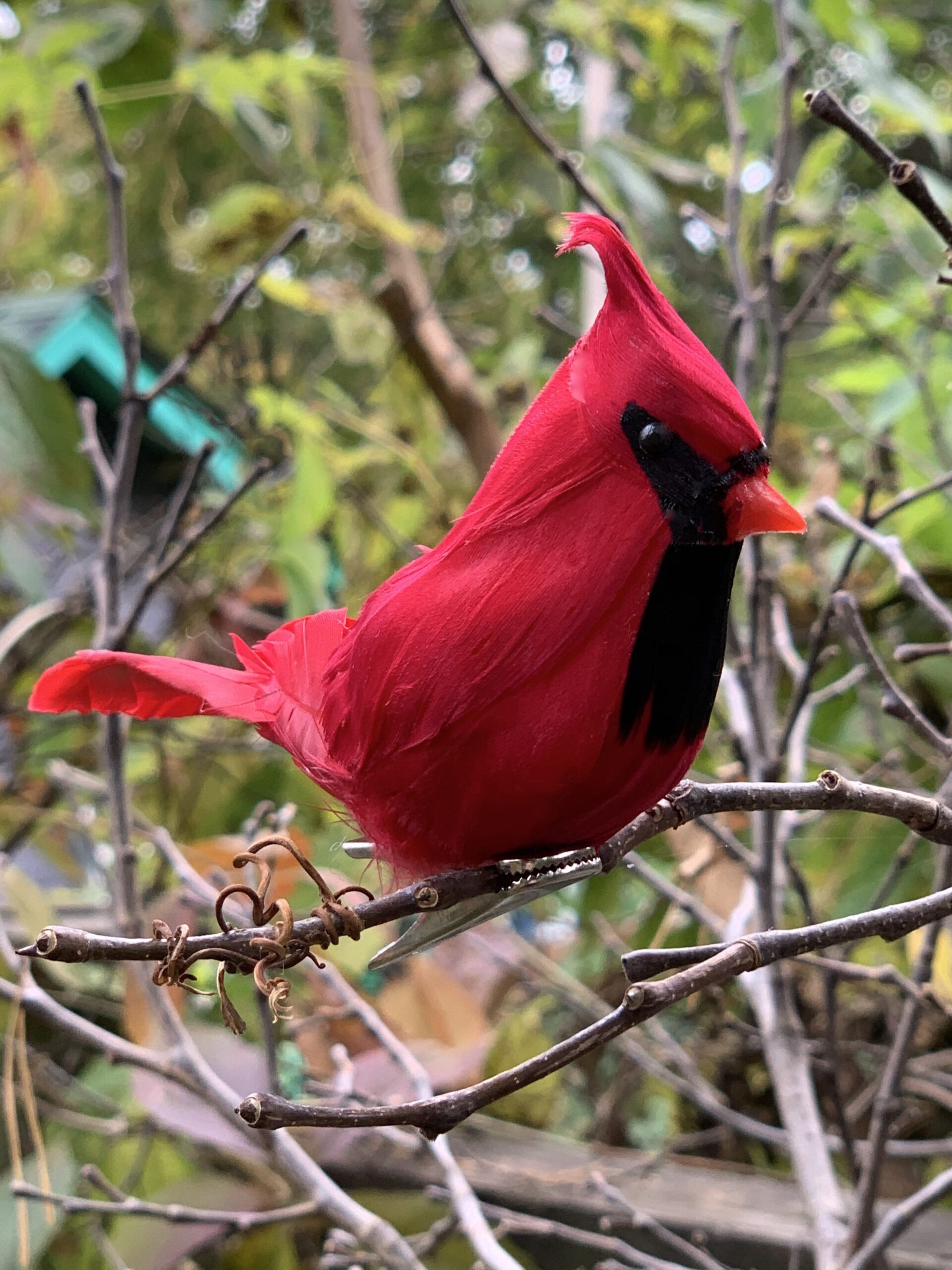 Red Cardinal Ornament with Crest Up - Go Home, Gabriela's...