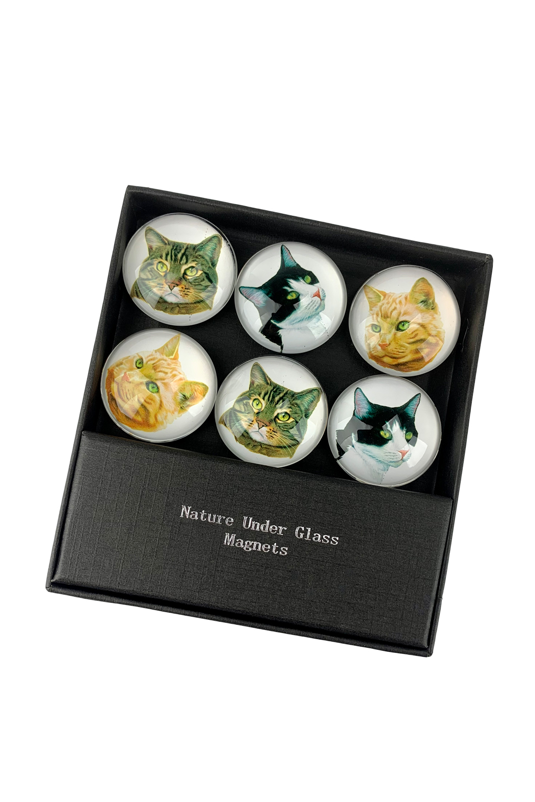 (6) Glass Cat Magnets - GO HOME... Unusual Decor and Gifts